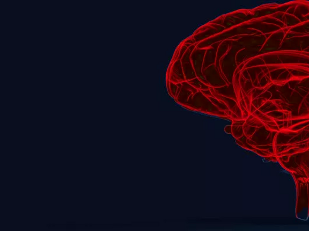 The right brain is essential to creativity | Iain McGilchrist » IAI TV